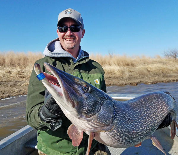 Northern Pike Spawn | About Fishing